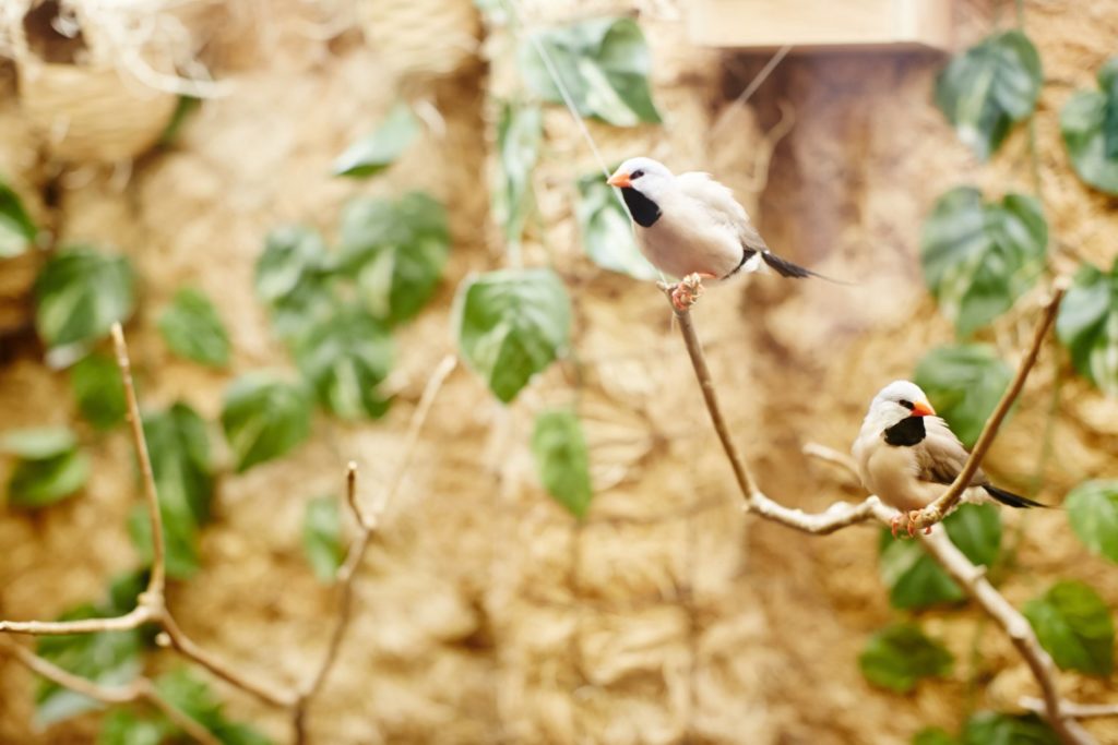 Ecumen Pathstone - Photo Gallery - Ecumen