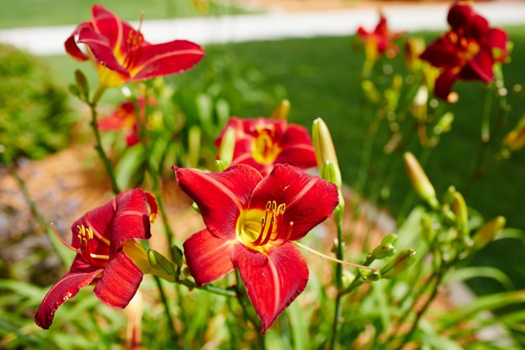 Ecumen Pathstone - Photo Gallery - Ecumen